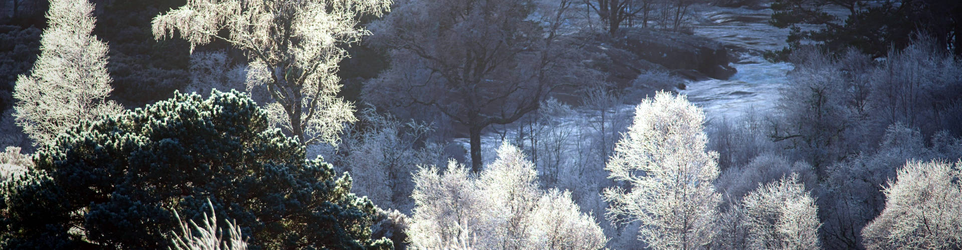 Winter Guide to Inverness & Scottish Highlands | Kingsmills Hotel