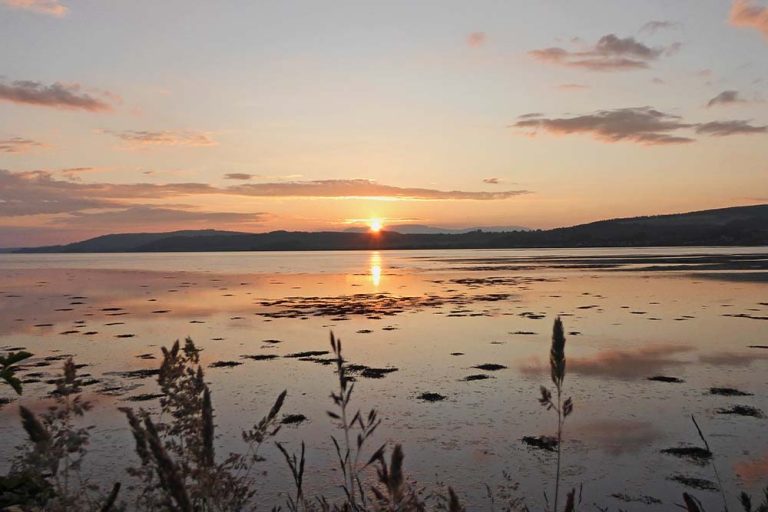 Merkinch Nature Reserve | Kingmills Hotel